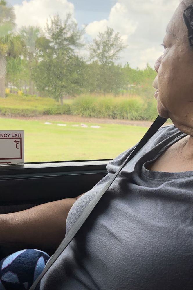 MEARS TRANSPORTATION GROUP - Updated December 2024 - 161 Photos & 1046 ...