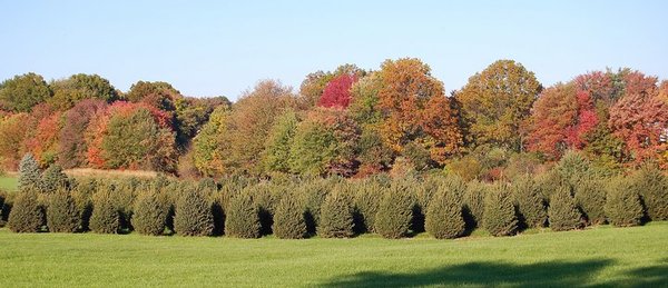 TREAT FARM - Updated September 2024 - 361 Old Tavern Rd, Orange ...