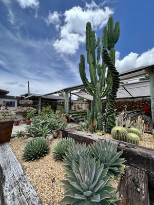 ISAAC FARMS - Updated January 2026 - 456 Photos & 113 Reviews - 18800 ...