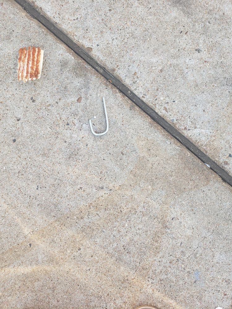 EL DORADO SHELL - 41 Photos & 40 Reviews - 580 El Dorado Blvd, Webster ...