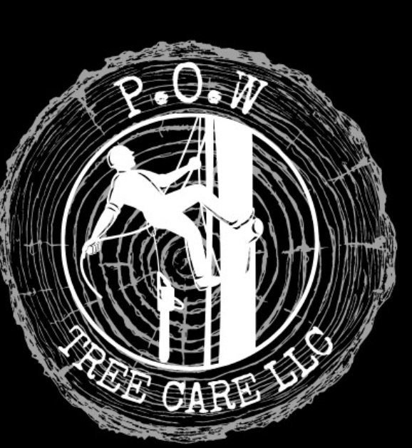 POW TREE CARE - Updated November 2025 - Request a Quote - 22 Photos ...