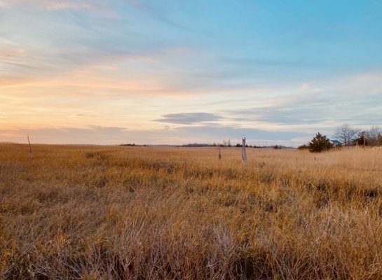 MOORE’S BEACH - Updated August 2025 - 26 Photos - Moore's Beach ...