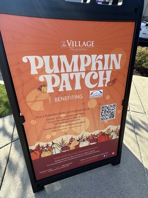 VILLAGE OF ROCHESTER HILLS - Updated September 2025 - 56 Photos & 22 ...