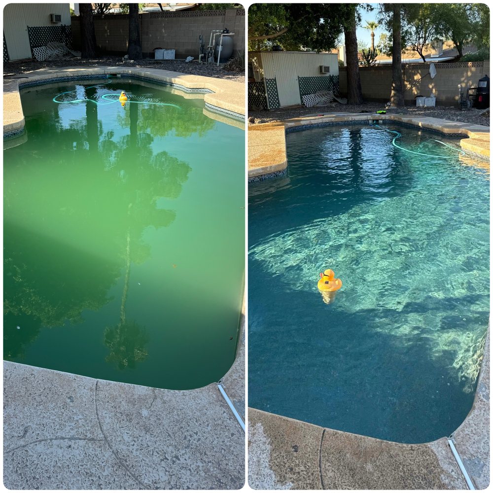 HEMINGWAY POOLS - Updated May 2025 - 25 Photos - Gilbert, Arizona ...