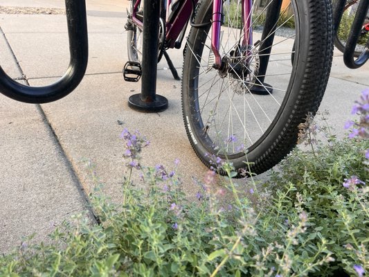 THE ROOKERY ACTIVITY CENTER - LINO LAKES - Updated December 2025 - 32 ...