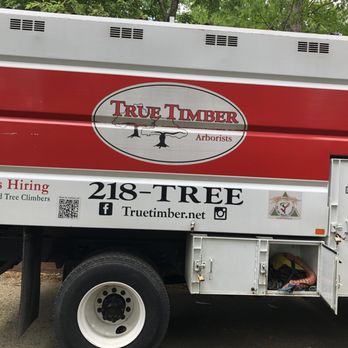 TRUETIMBER ARBORISTS - Updated October 2025 - 24 Photos & 19 Reviews ...