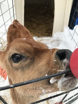 DISCOVERY RANCH - Updated November 2025 - 18 Photos & 36 Reviews - 1308 ...