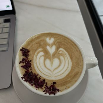 SPRUCE CAFE - Updated July 2024 - 1532 Photos & 572 Reviews - 230 S ...