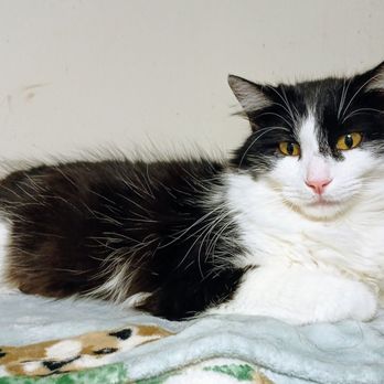 COYOTE CROSSING RANCH - Updated December 2025 - 23 Photos - 3725 Willow ...