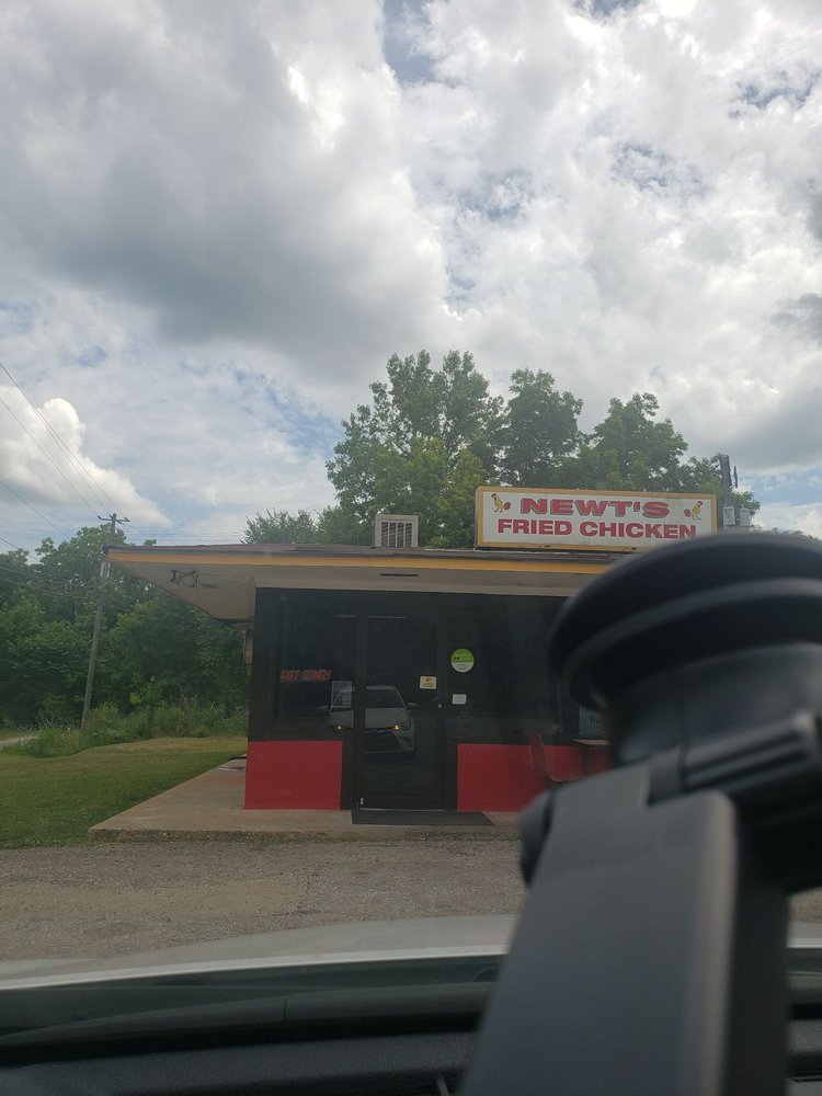 NEWT’S FRIED CHICKEN - Updated June 2025 - 20 Reviews - 1860 Ga Highway ...