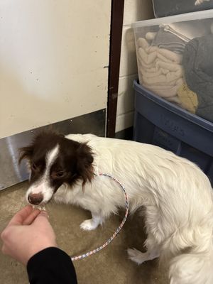 DFW HUMANE SOCIETY - Updated January 2026 - 12 Photos & 11 Reviews ...