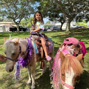 MY LITTLE PONY RIDES - Updated June 2025 - 191 Photos & 118 Reviews ...