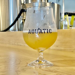 TREE HOUSE BREWING - Updated December 2024 - 242 Photos & 111 Reviews ...