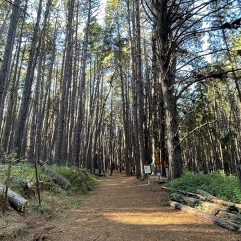WAIHOU SPRING TRAIL - Updated September 2025 - 70 Photos & 21 Reviews ...