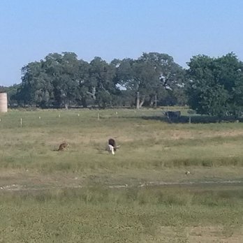 KNIBBE RANCH - Updated December 2025 - 42 Photos & 19 Reviews - 9836 ...