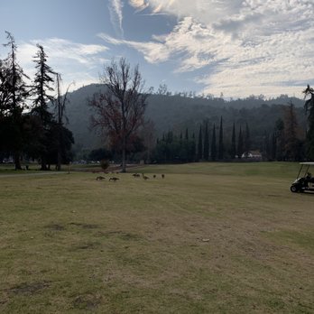 Wilson Golf Course - 102 Photos & 91 Reviews - Golf - 4730 Crystal ...