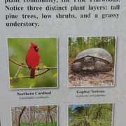 TIBET-BUTLER PRESERVE - 420 Photos & 60 Reviews - Parks - 8777 Winter ...