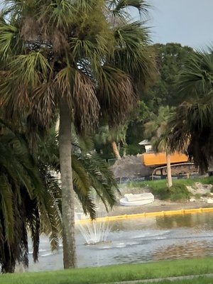 SIMS PARK - 63 Photos & 33 Reviews - Parks - Bank St And Main St, New ...