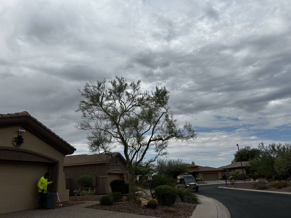 DESERT SAGE LANDSCAPING - Updated November 2024 - 211 Photos & 57 ...