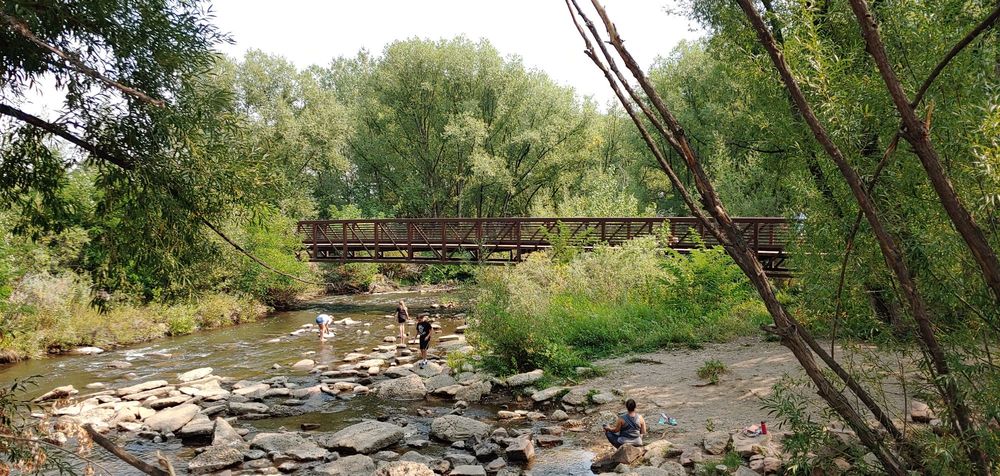 GOLDEN PONDS PARK & NATURE AREA - 33 Photos - Parks - 2499 3rd Ave ...