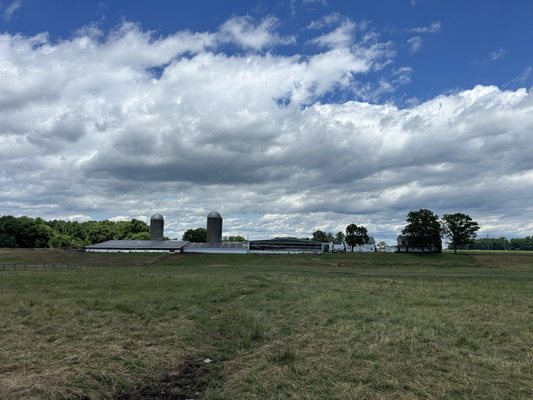 TANNER BROTHERS DAIRY - Updated December 2025 - 102 Photos & 166 ...
