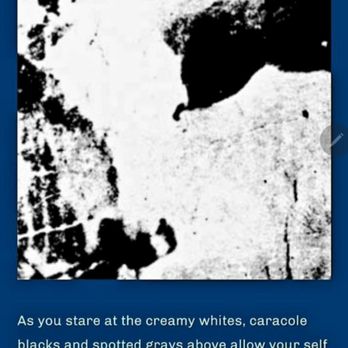 ADAM STONE MAGIC - Updated September 2025 - 49 Photos & 47 Reviews ...