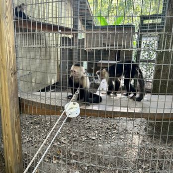 BEE CITY ZOO - Updated August 2025 - 396 Photos & 118 Reviews - 1066 ...