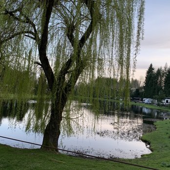 LAKE PLEASANT RV PARK - Updated December 2025 - 98 Photos & 87 Reviews ...