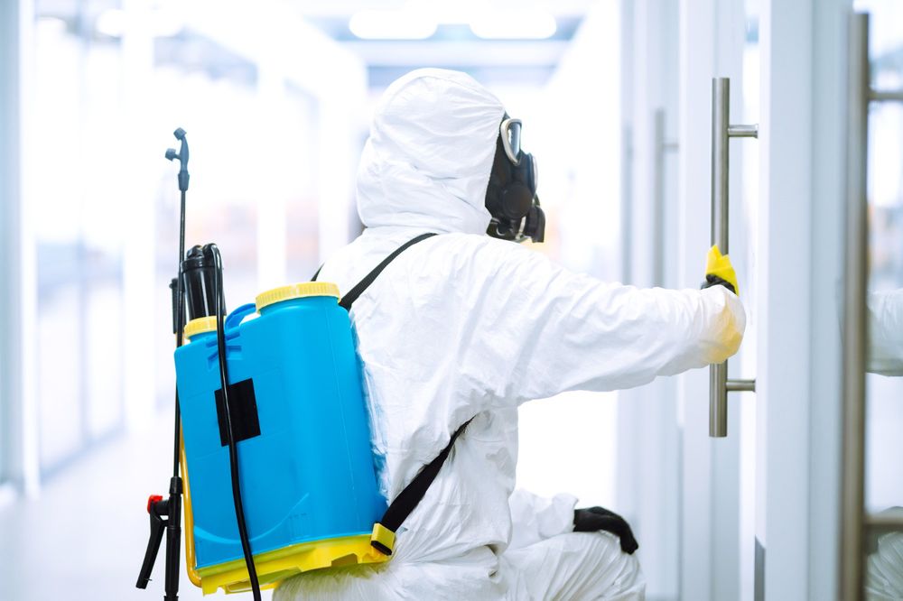 BUG SOLUTIONS & TERMITE PEST CONTROL - Updated August 2024 - 10 Photos ...