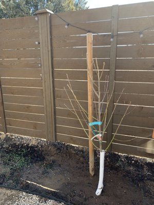 RESTORING EDEN - Updated March 2025 - 42 Photos & 35 Reviews - 3503 S ...