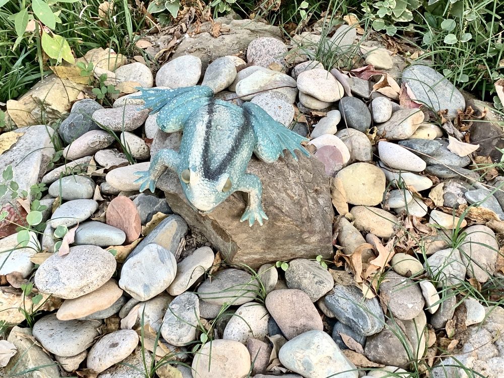 SHELBY FARMS GREENLINE - Updated September 2025 - 77 Photos & 31 ...