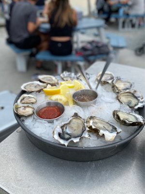 TAYLOR SHELLFISH FARMS - 1242 Photos & 341 Reviews - 2182 Chuckanut Dr ...
