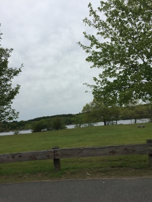 BUCKMASTER POND - Updated December 2025 - 12 Photos - 350 Pond St ...