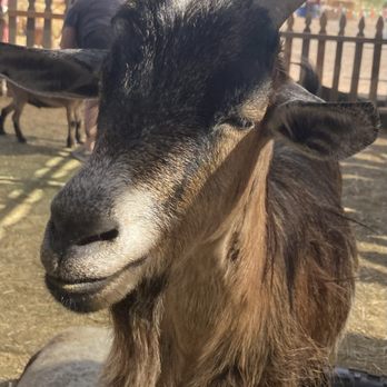 VERTUCCIO FARMS - Updated December 2025 - 336 Photos & 163 Reviews ...