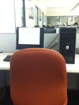 WALTER W STIERN LIBRARY - Updated December 2025 - 23 Photos - Cal State ...