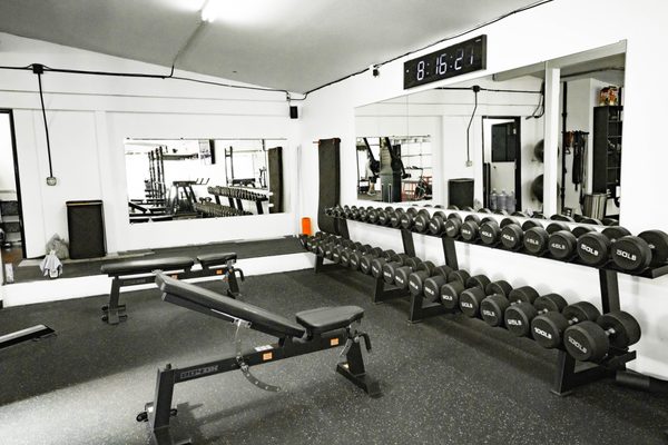 AMERICA’S FINEST GYM - Updated January 2025 - 17 Photos - 3610 Midway ...