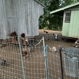 PRIMO - Updated December 2024 - 573 Photos & 455 Reviews - 2 Main St ...