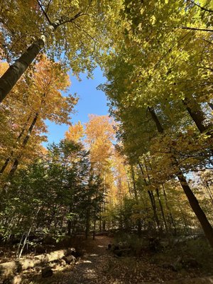 STIGLMEIER PARK - Updated December 2025 - 192 Photos & 40 Reviews - 500 ...