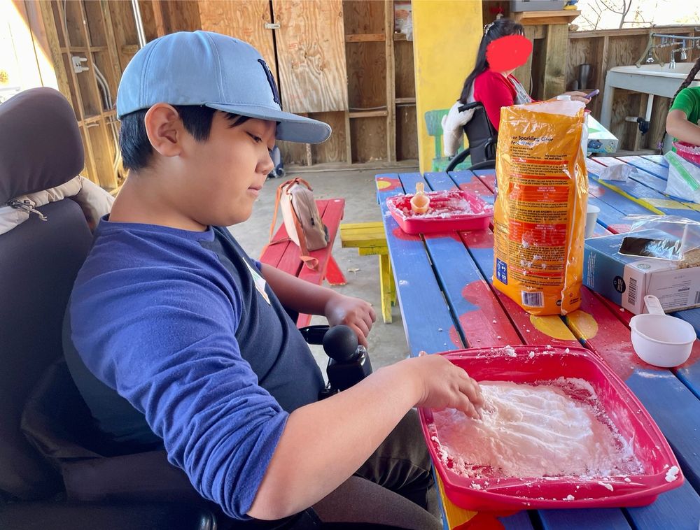 THE PAINTED TURTLE - Updated October 2025 - 66 Photos & 14 Reviews ...