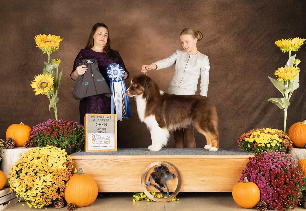 TRINITY KENNELS - 48 Photos - Shingle Springs, California - Pet ...