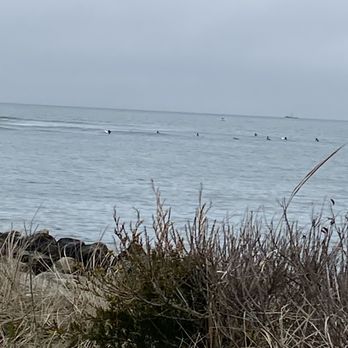 OCEAN MIST - Updated July 2024 - 233 Photos & 275 Reviews - 895 ...