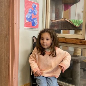 THE RADICAL CAT - Updated October 2025 - 52 Photos & 24 Reviews - 1500 ...