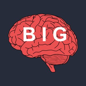 BUCKMASTER POND - Updated February 2025 - 12 Photos - 350 Pond St ...