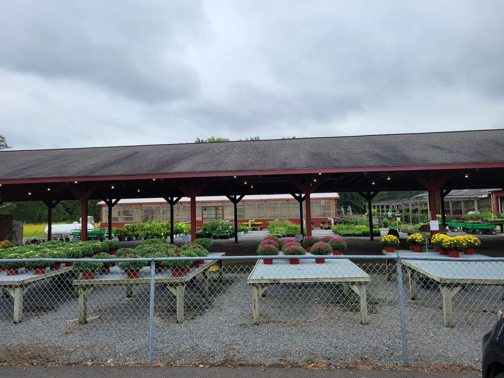 WALLKILL VIEW FARM MARKET - 67 Photos & 36 Reviews - 15 Rte 299 W, New ...