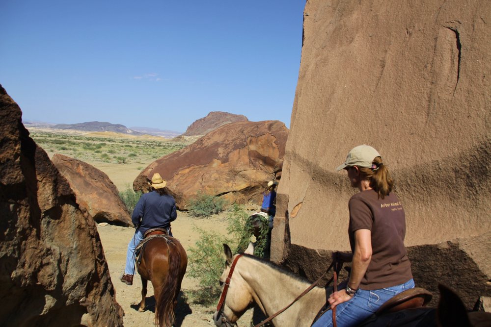 BIG BEND STABLES - Updated December 2025 - Terlingua, Texas - Horseback ...