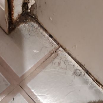 TRIBE RECOVERY HOMES - Updated January 2026 - 1178 Mariposa St, Denver ...