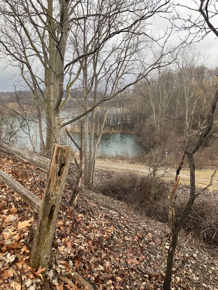 LILLIE PARK - Updated May 2026 - 39 Photos & 13 Reviews - 4200 Platt Rd ...