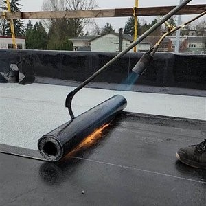 BULLETPROOF ROOFING - Updated June 2025 - Request a Quote - Whitecourt ...