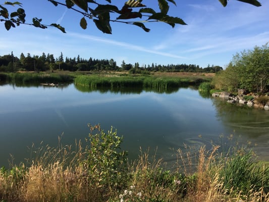 TALKING WATER GARDENS - Updated July 2024 - 16 Photos - 577 Waverly Dr ...