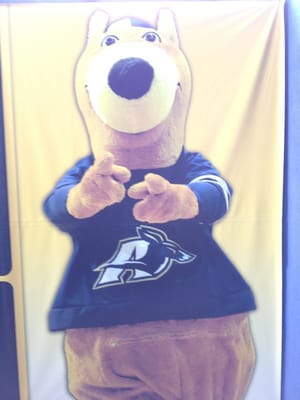 UNIVERSITY OF AKRON STUDENT RECREATION & WELLNESS CENTER - Updated ...